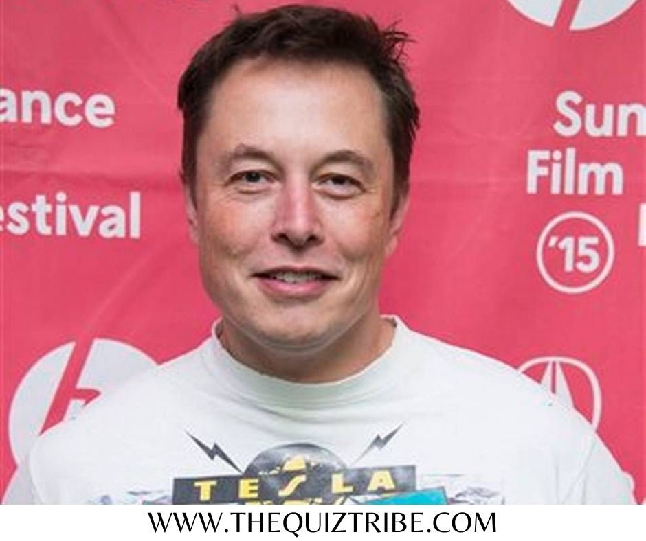In what year did Elon Musk purchase the SolarCity? - The Quiz Tribe